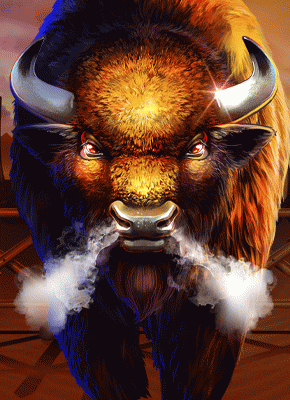 Whamoo — Login, Welcome Pack 100% + 300 FS
